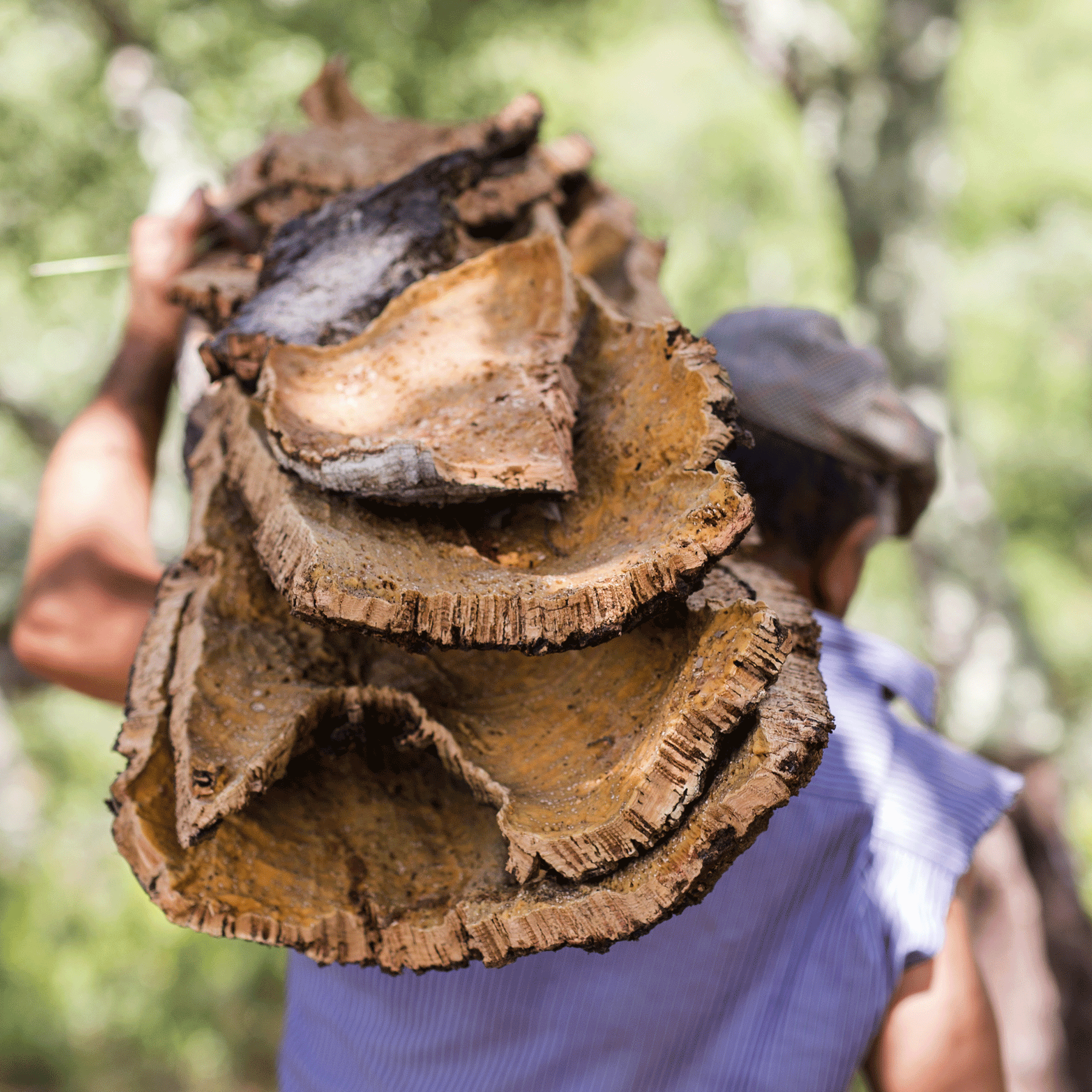 Corkor: Vegan Cork Accessories - Cork Wallets, Bags, & Belts